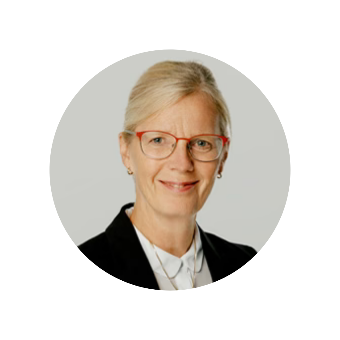 Sidewall w/panorama window for FleXtents, 4 m, Blue